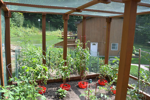 Garden Enclosure Inspiration – Clover and Thyme