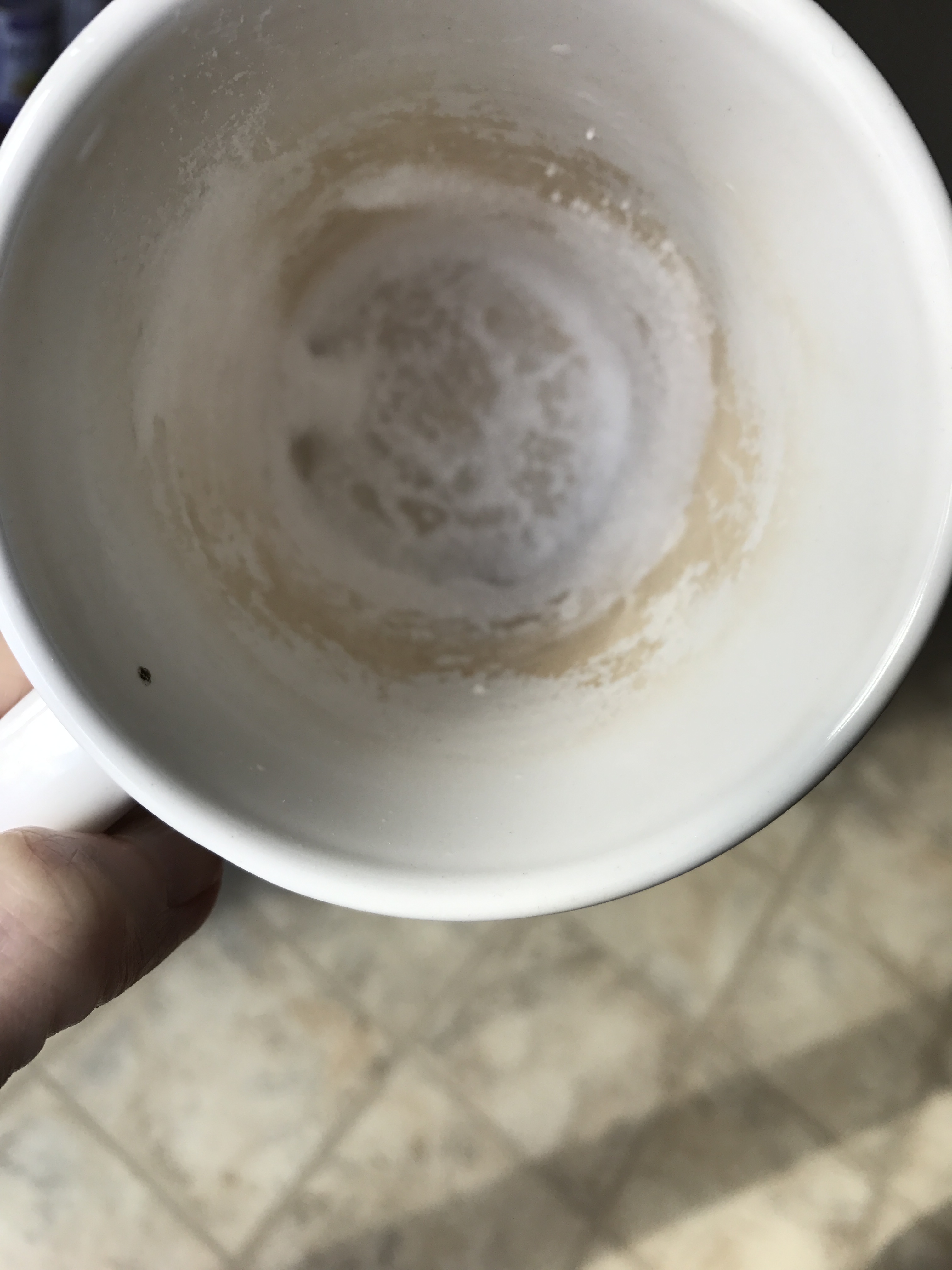 Remove Tea Stains from Mugs – Clover and Thyme