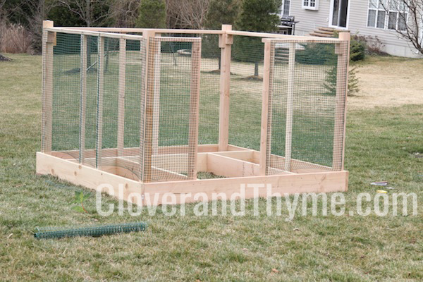 DIY Garden Enclosure – Clover and Thyme