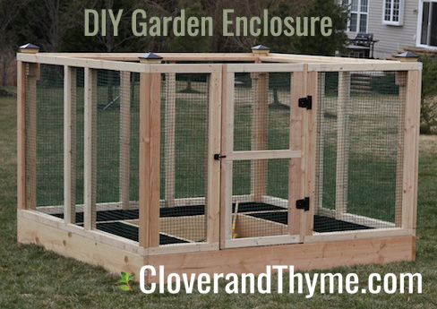 DIY Garden Enclosure – Clover and Thyme